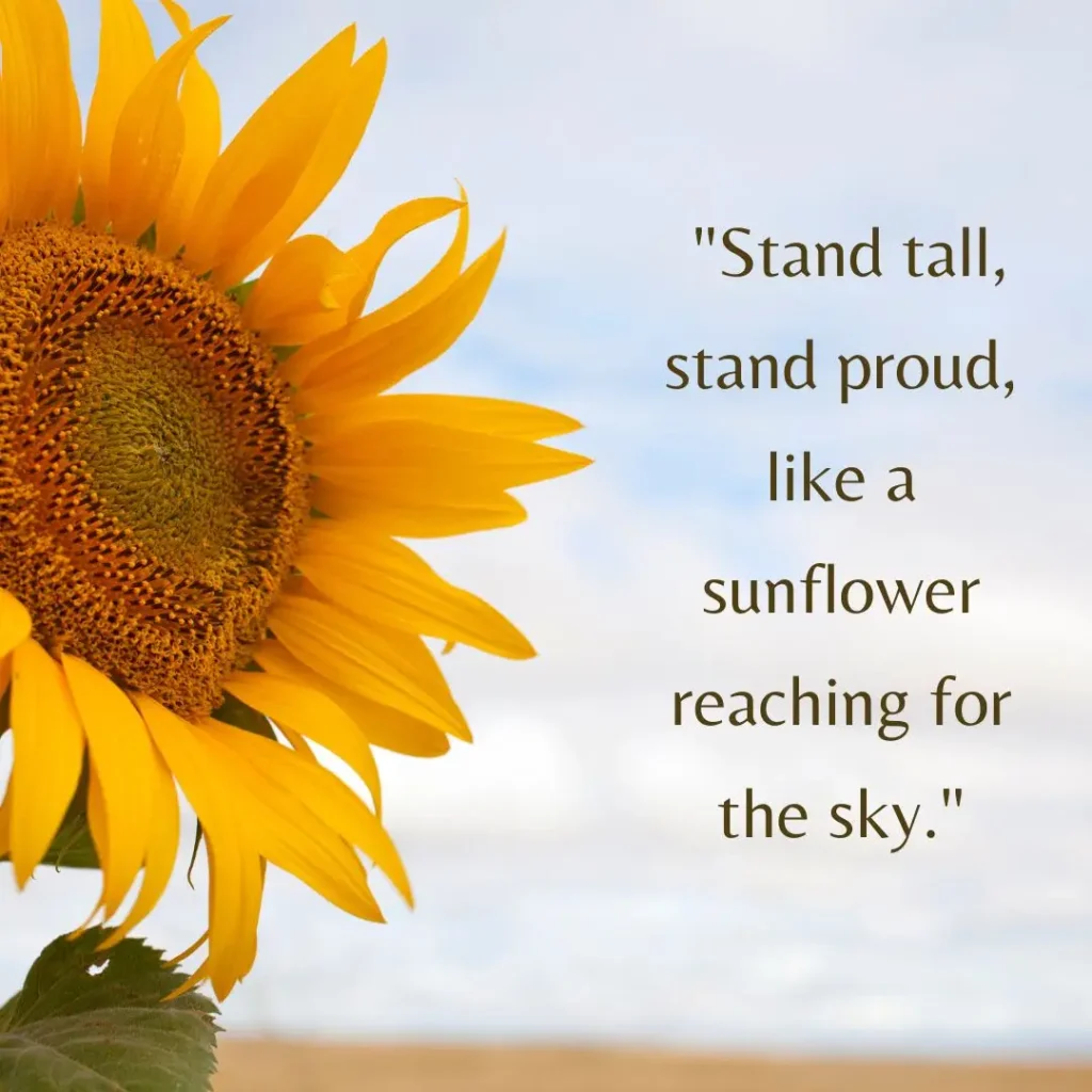 Bright and Beautiful Sunflower Quotes to Bring Sunshine to Your Day